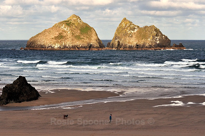 Gull Rocks at Holywell Bay Cornwall