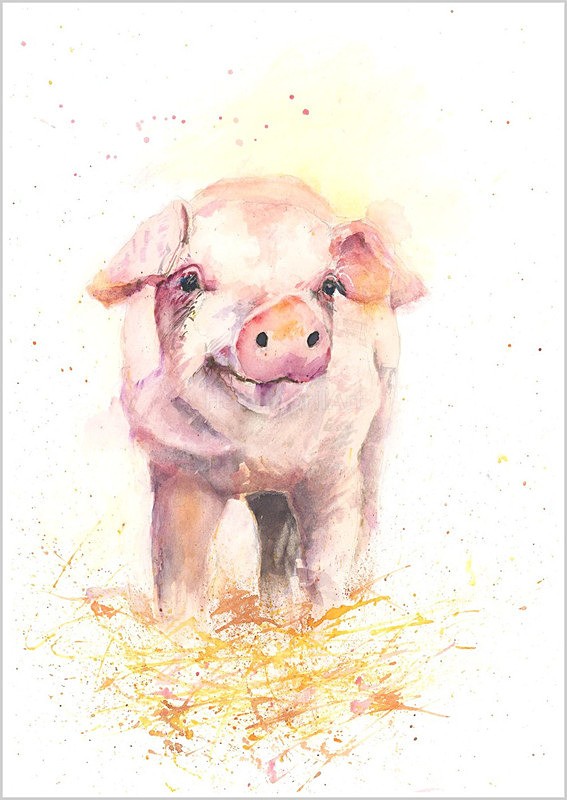 Limited print of PIG watercolour 163