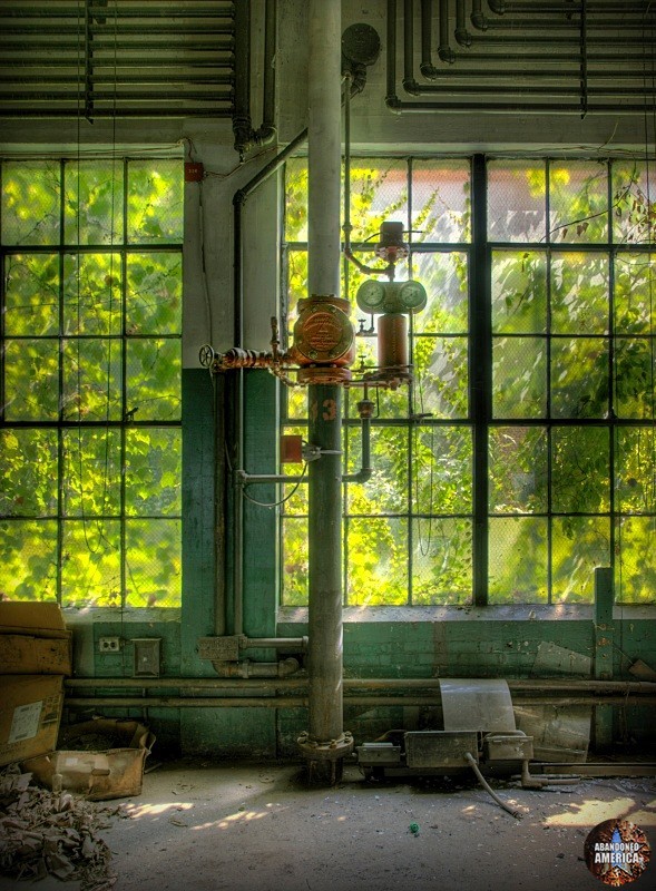 The Scranton Lace Company | let the glory out