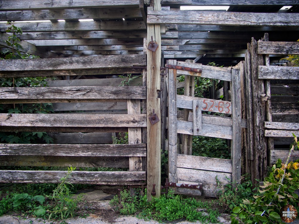 The Lancaster Stockyards | To the Slaughter