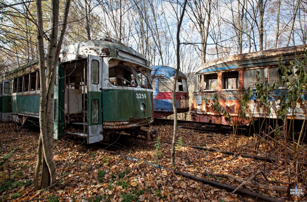Trolley Graveyard | Overgrown