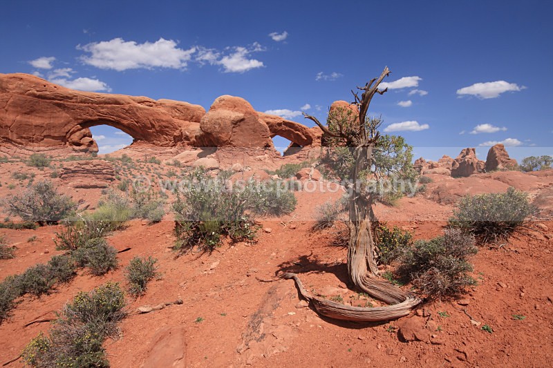 "The Spectacles", Arches National Park, Utah