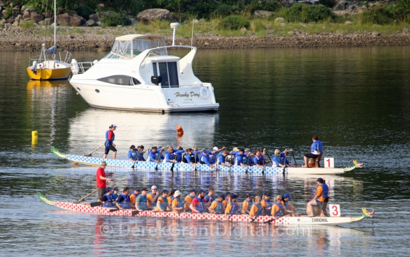 Saint John Dragon Boat Festival Renforth New Brunswick Canada