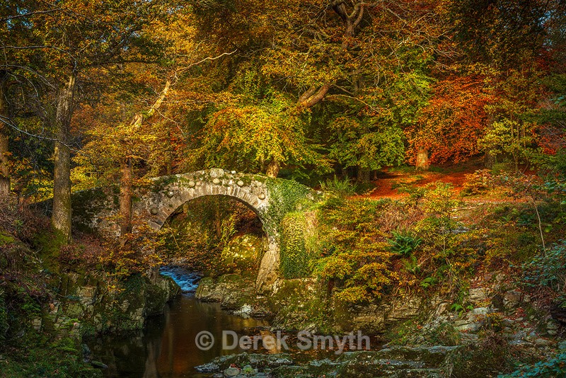 Foleys Bridge Tollymore Forest Park