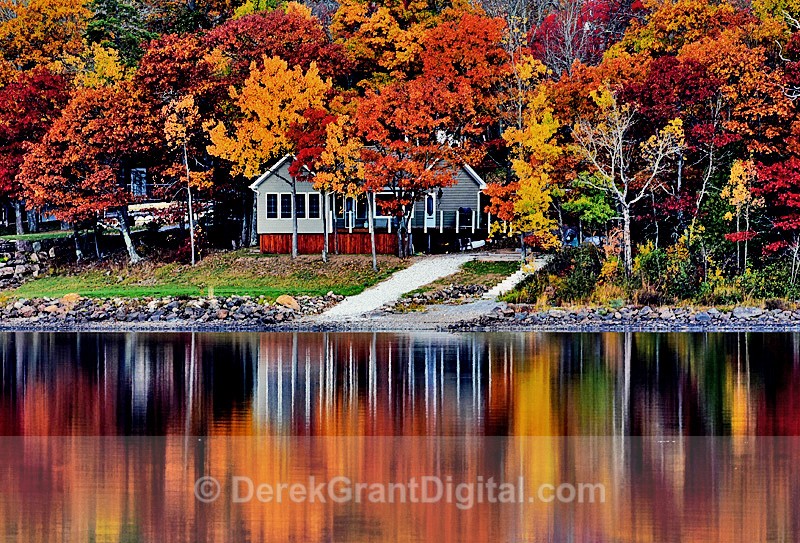 Autumn Foliage New Brunswick Canada