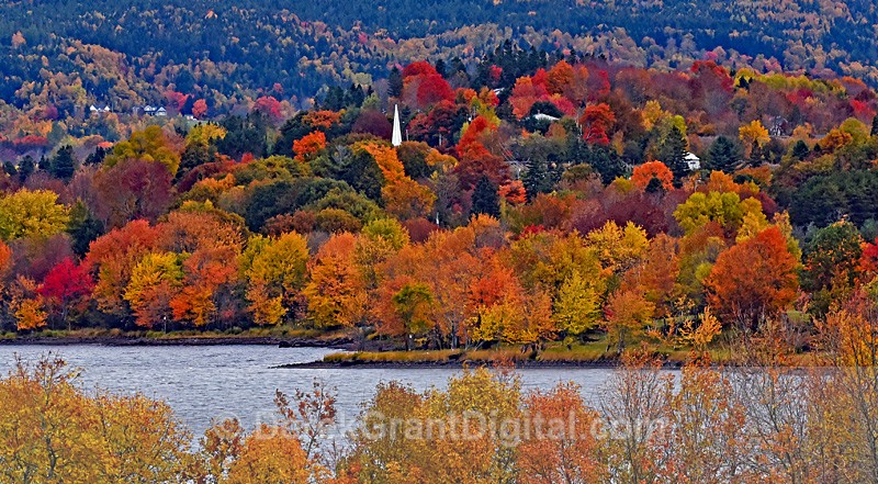 Autumn Foliage Hampton New Brunswick Canada