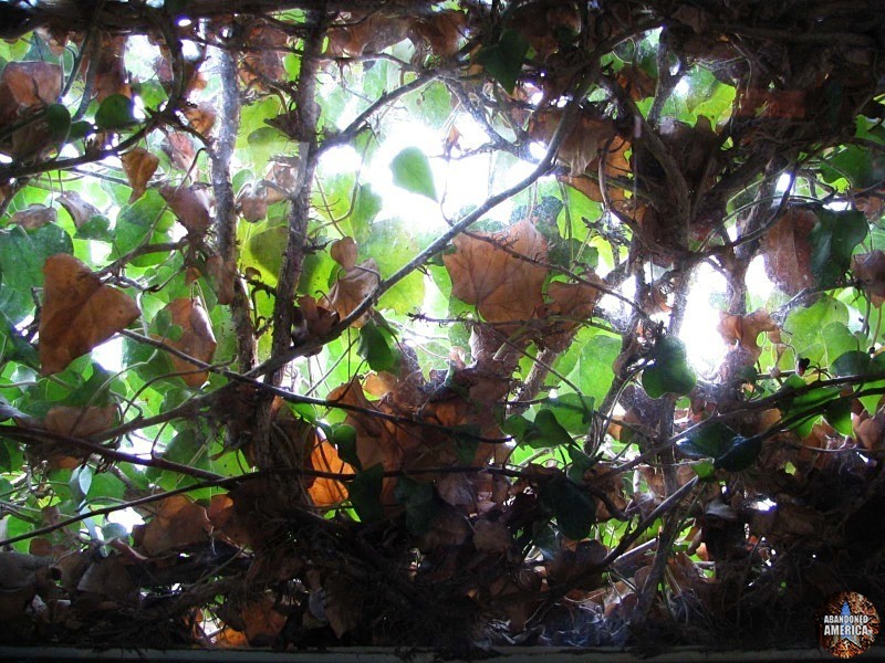 Raymark Industries (Manheim, PA) | Window Detail