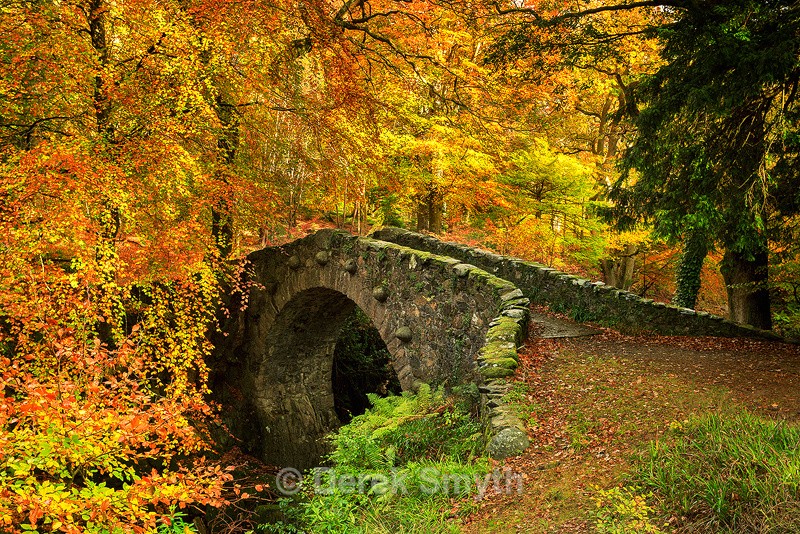 Foley's Bridge in Autumn Glory