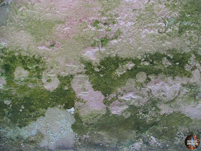 Raymark Industries (Manheim, PA) | Mold Detail