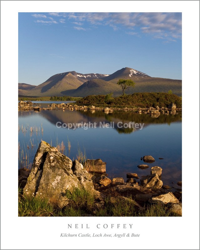 5x4-portrait-example